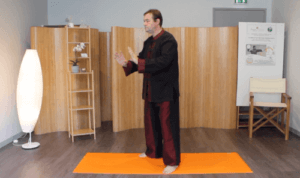 Les 8 mouvements du Dao Yin – Taotonaute Academy